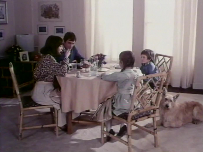 DANONE DANETTE : DESSERT LACTE CREME VANILLE CHOCOLAT | INA