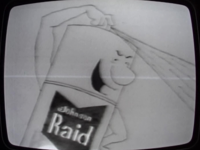 Raid de JOHNSON : insecticide en bombe | INA