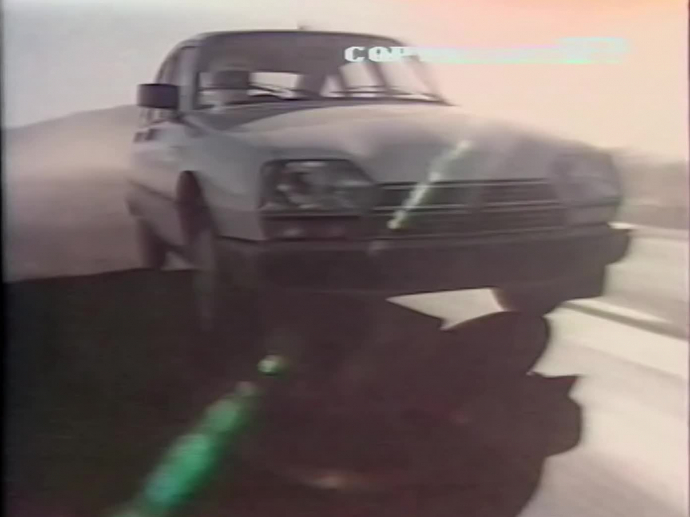 CITROEN GSA Cars : Trucks | INA