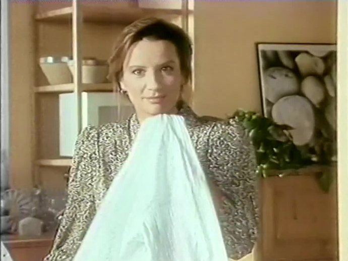 ARIEL : LESSIVE POUDRE | INA