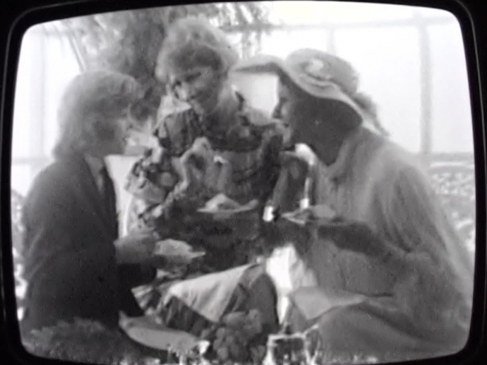 Flan Dane de DANONE : flans en pots prêts-à-servir | INA