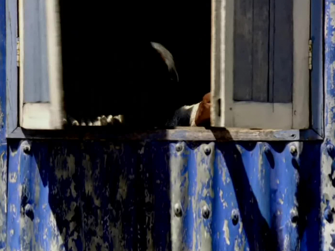 Nescafé espresso : Open up | INA