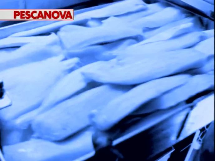 Pescanova : Haute mer | INA