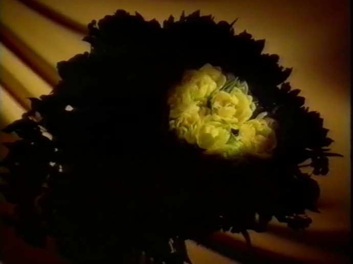 INTERFLORA : FLEURISTE LIVRAISON DE BOUQUETS DE FLEURS DANS TOUTE ...