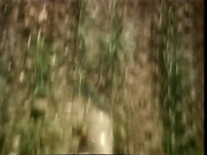 KORIL : Le champ propre | INA