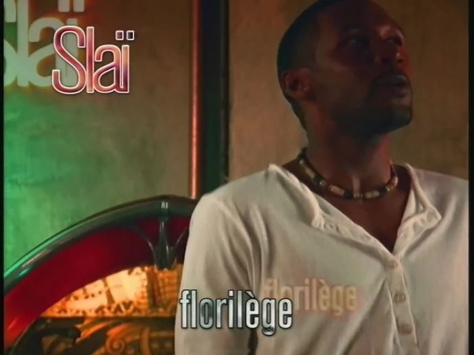 Slai : Album florilège version 20 secondes | INA