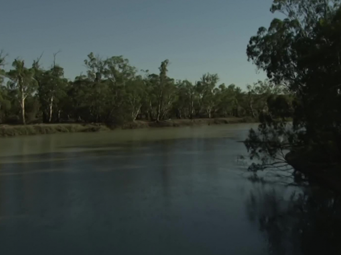 Australie : le fleuve Murray | INA