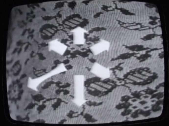 PLAYTEX : gaine et panty | INA