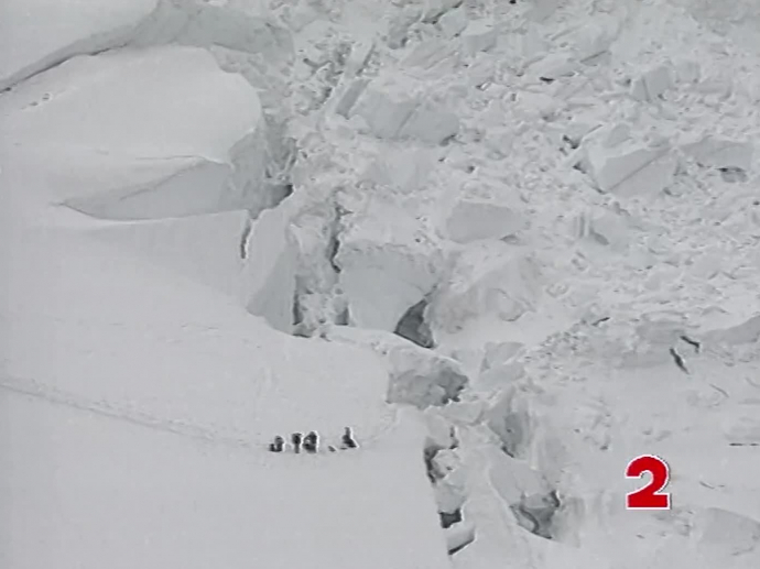 MORTS AVALANCHE/SUITE | INA