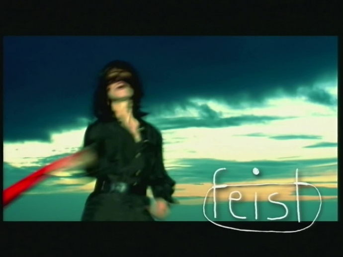 Feist : Album let it die version 31 secondes | INA
