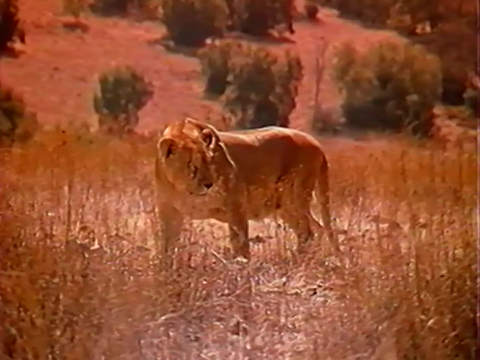 BEL SAMOS 99 : FROMAGE FONDU | INA