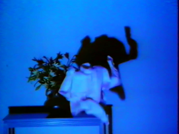 FABULON : SPRAY AMIDONNANT | INA