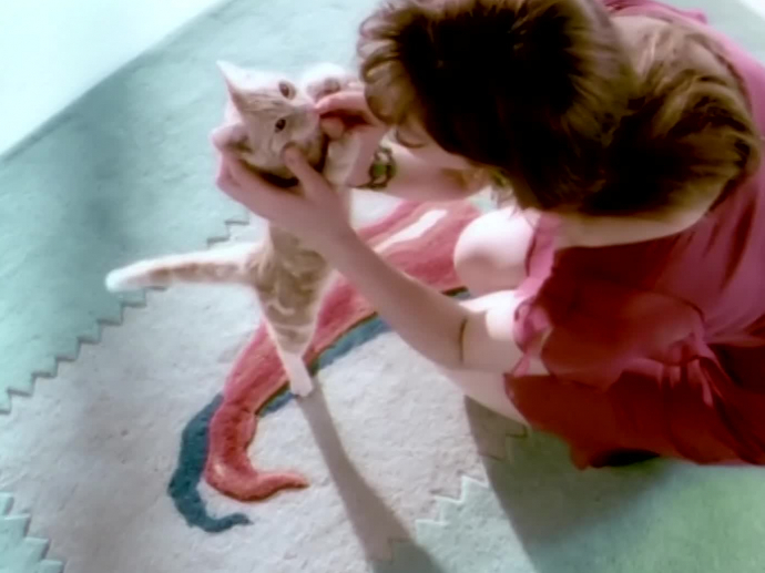 Megepil chat avec flash | INA