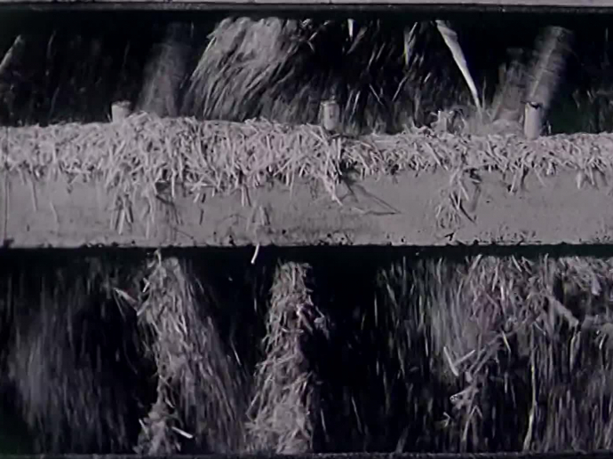 Un rouisseur teilleur de lin | INA