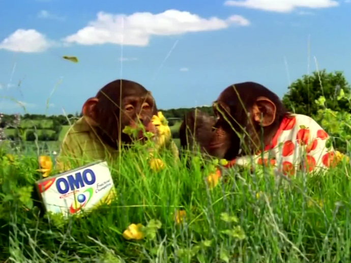 Omo tablets : Bouquet | INA