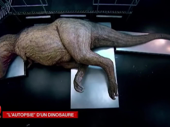 Autopsie d'un dinosaure | INA