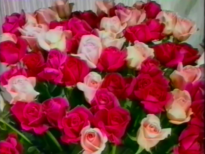 COLLECTIVE DES FLEURS : FLEUR | INA