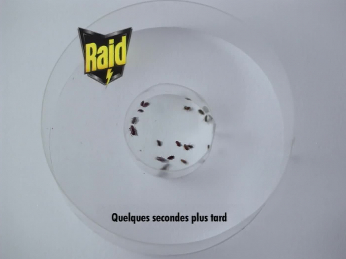 Raid : Mission | INA