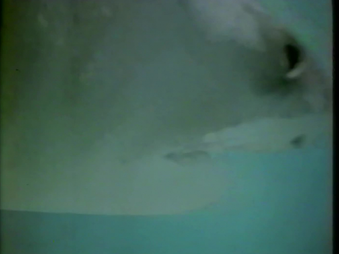 PACIFIC / PERNOD RICARD : BOISSON ANISEE ALLEGEE SANS ALCOOL | INA