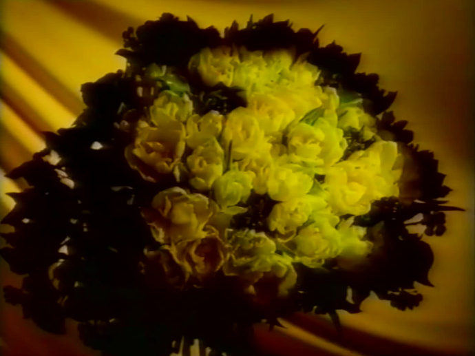 INTERFLORA : LIVRAISON DE FLEURS | INA