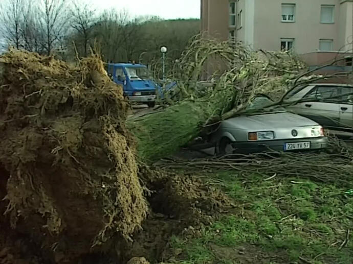 Nouveau système d'alerte Météo France | INA
