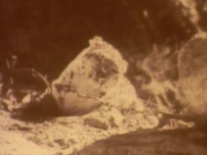 Chasse à la panthère des neiges en Sibérie | INA