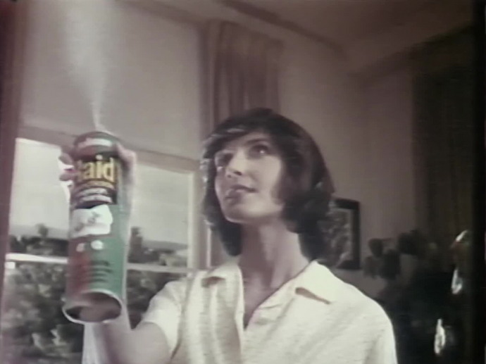 Raid de JOHNSON : Insecticide | INA