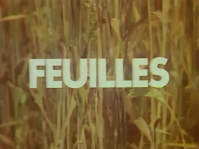 BAYLETON : Le champs de blé | INA