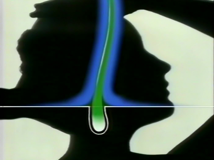 PANTENE 2 EN 1 : SHAMPOOING ET APRES-SHAMPOOING | INA