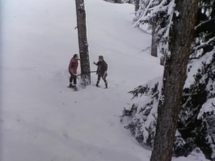 VICKS : sirop pectoral : le grand nord | INA