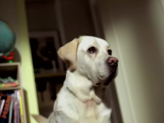 Pepito de Belin : Jouets | INA