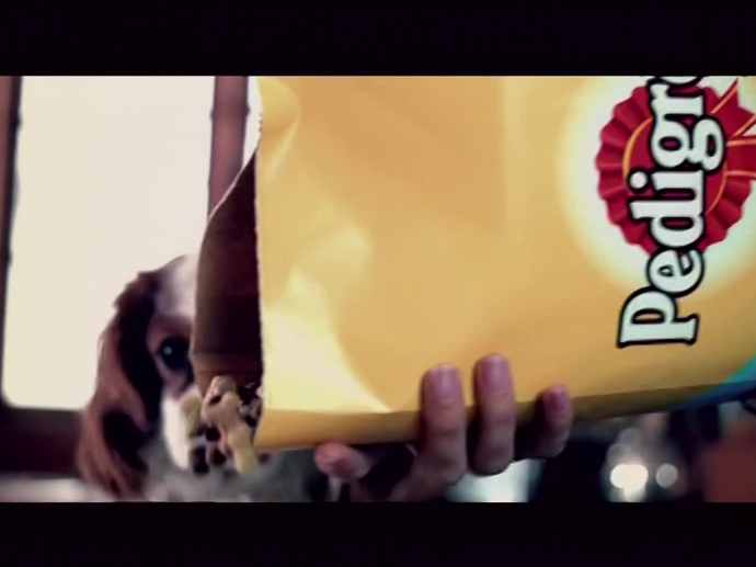 Pédigrée Pal junior : Faces junior | INA