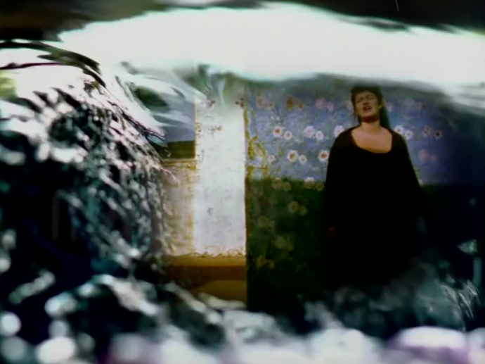 Maurane : Un pour l'autre/nouveau film : version 30 secondes | INA