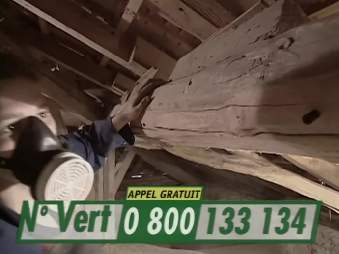 FPH : Version 20 secondes | INA