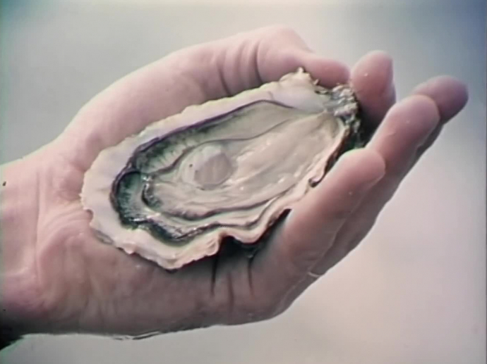 HUITRES CREUSES BRETAGNE : huitres : vie | INA