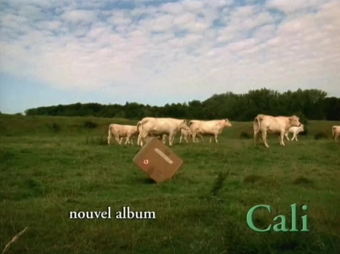Cali : nouvel album version 20 secondes | INA