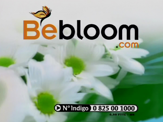 bebloom.com version 8 secondes | INA