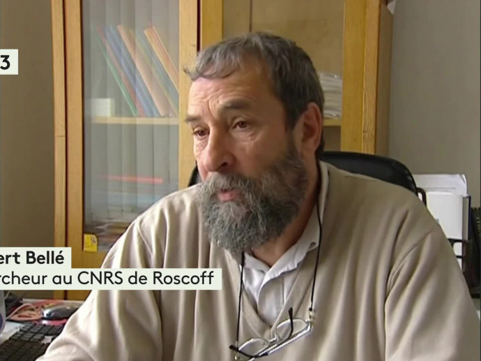 2003, l'alerte du chercheur Robert Bellé sur le glyphosate | INA