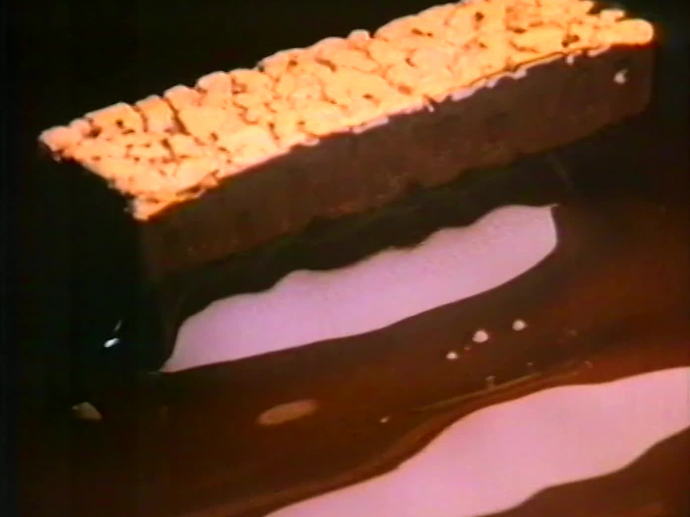 NESTLE SUNDY : BARRE CHOCOLATEE AUX CEREALES | INA