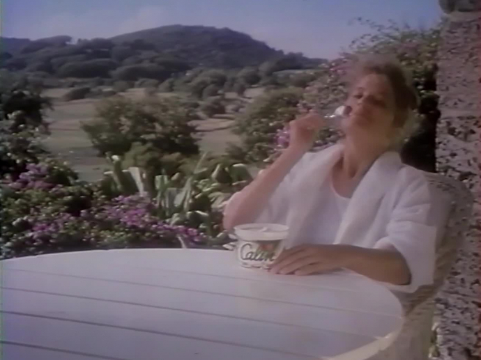 YOPLAIT / CALIN : FROMAGE BLANC/DESSERT | INA