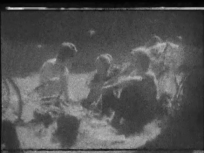 Cca-Cola : Soda : le long du chemin | INA