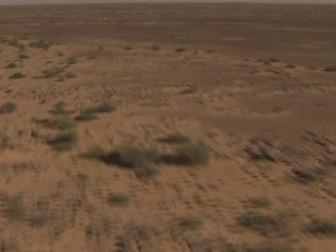 Mauritanie : désert rocailleux | INA