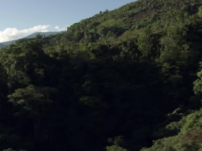 Costa Rica : forêt dense et maisons | INA