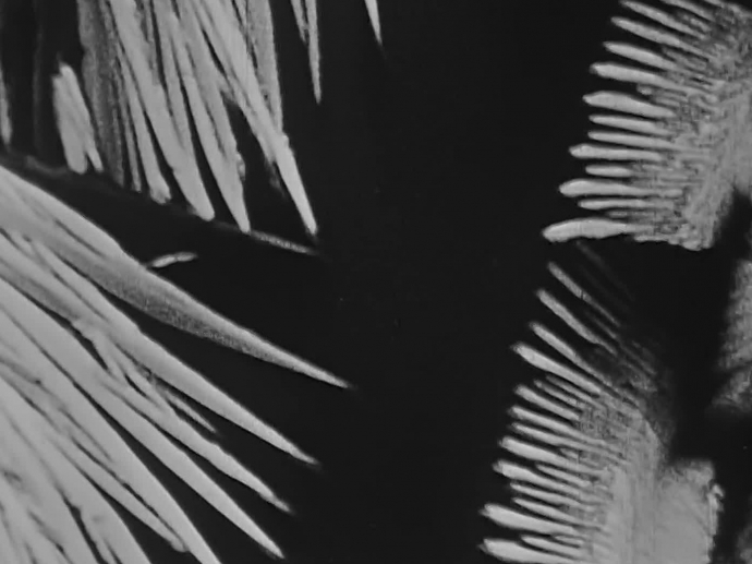 Max Ferdinand Perutz, prix Nobel de chimie, à propos des virus | INA