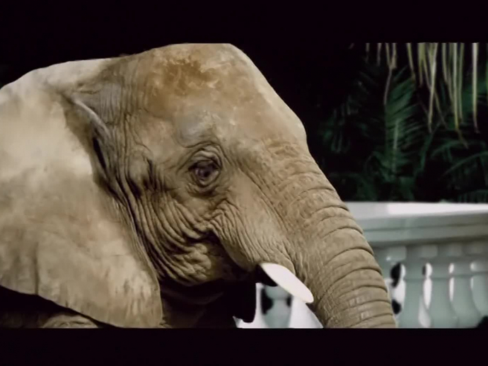 Schweppes : Hose version 42 secondes | INA