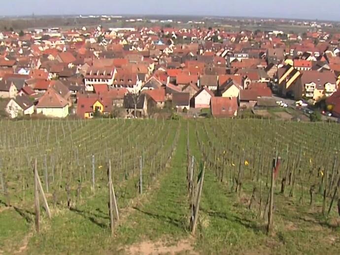 Pétition : L'Alsace aux alsaciens | INA