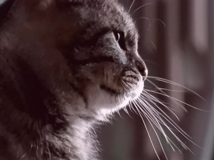 Tiscali : Chat | INA