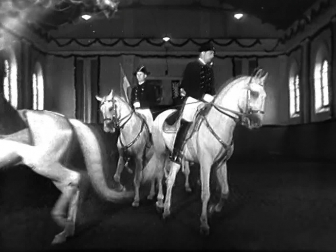 Haute école espagnole de cavalerie | INA
