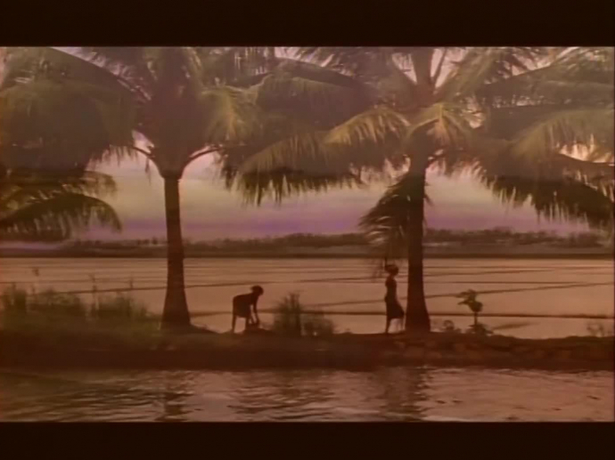 Jack Benoit : Noix de cajou | INA