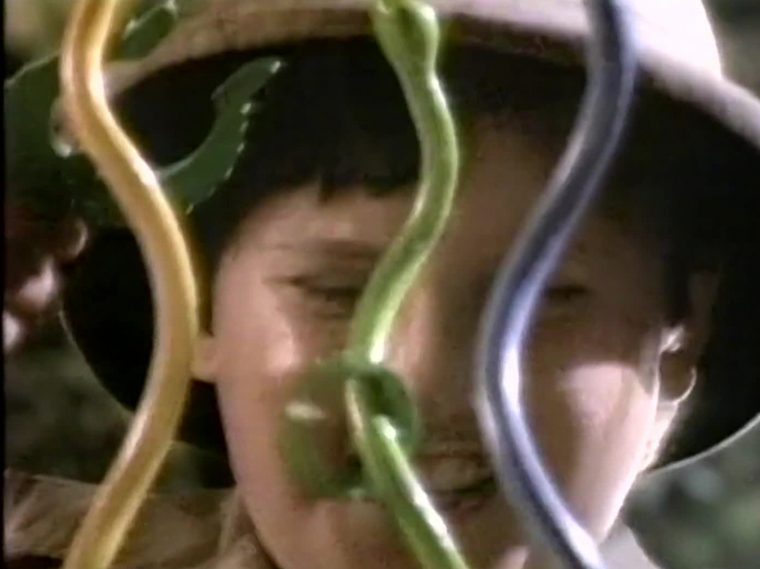 TOMY DANSE DES PHYTONS : JEU DE SOCIETE ENFANT | INA